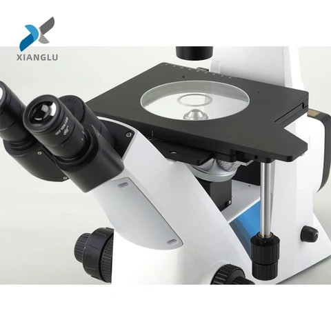 Buy Xianglu Laboratory Binocular Inverted Biological Microscope ...