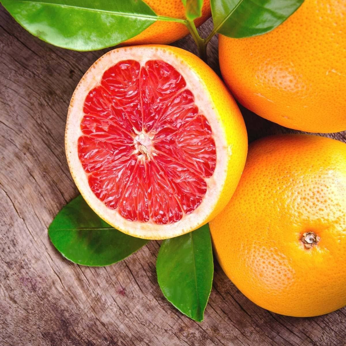 Buy Fresh Harvested Grapefruits Ready For Shipment from Afrivet Trading ...