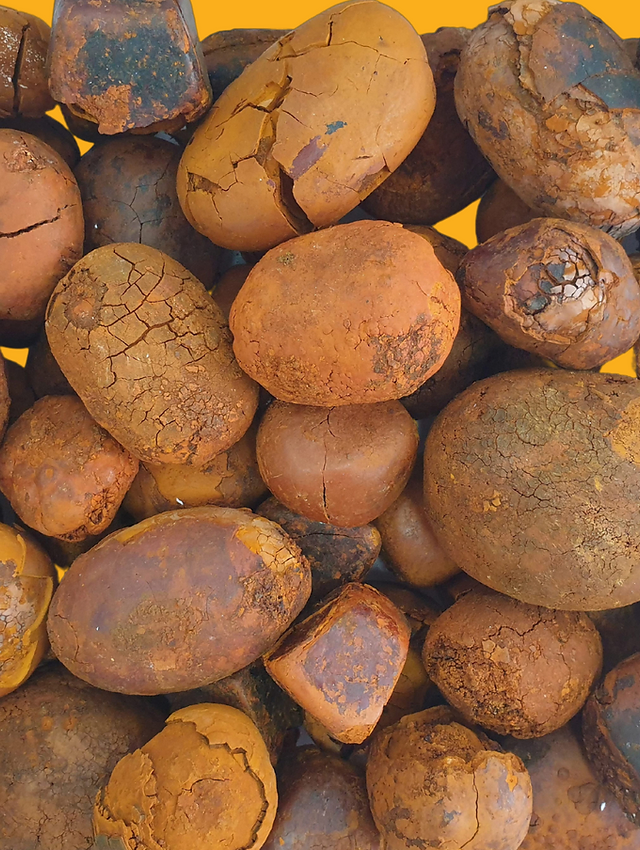 Cattle Gallstones For Sale Usa,buy Natural Cattle Gallstones Usa Origin ...