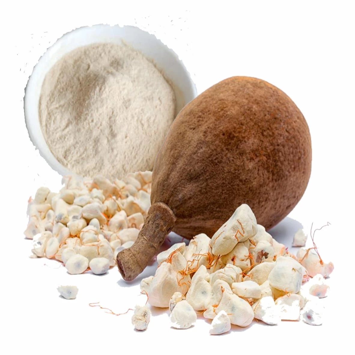 Buy Baobab Powder from Tropical Plants (Nig) Limited, Nigeria ...