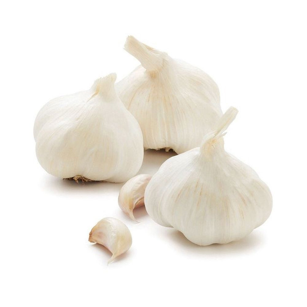 Buy Persian Star Garlic Supplier from Afrivet Trading Services, USA ...
