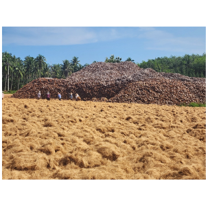 Buy Coco Fiber from At Ligor Co., Ltd., Thailand | Tradewheel.com
