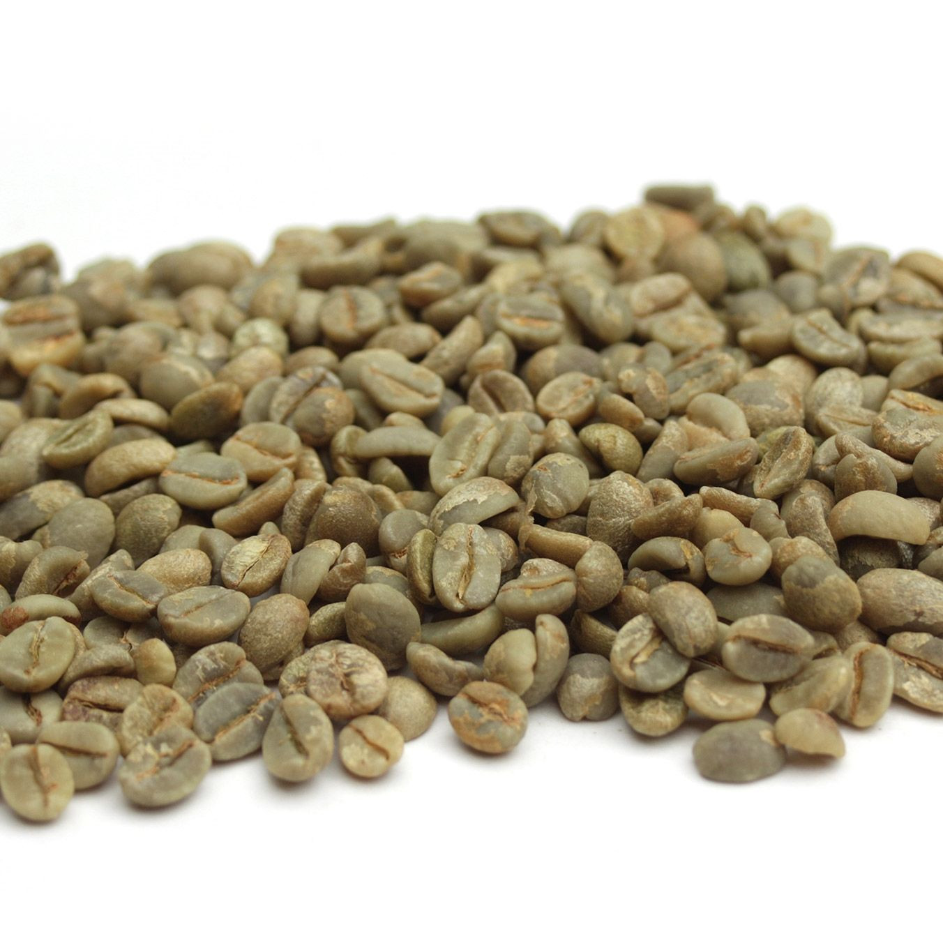 Buy Premium Robusta Coffee Bean With Rich Aroma And Bold Flavor Perfect ...