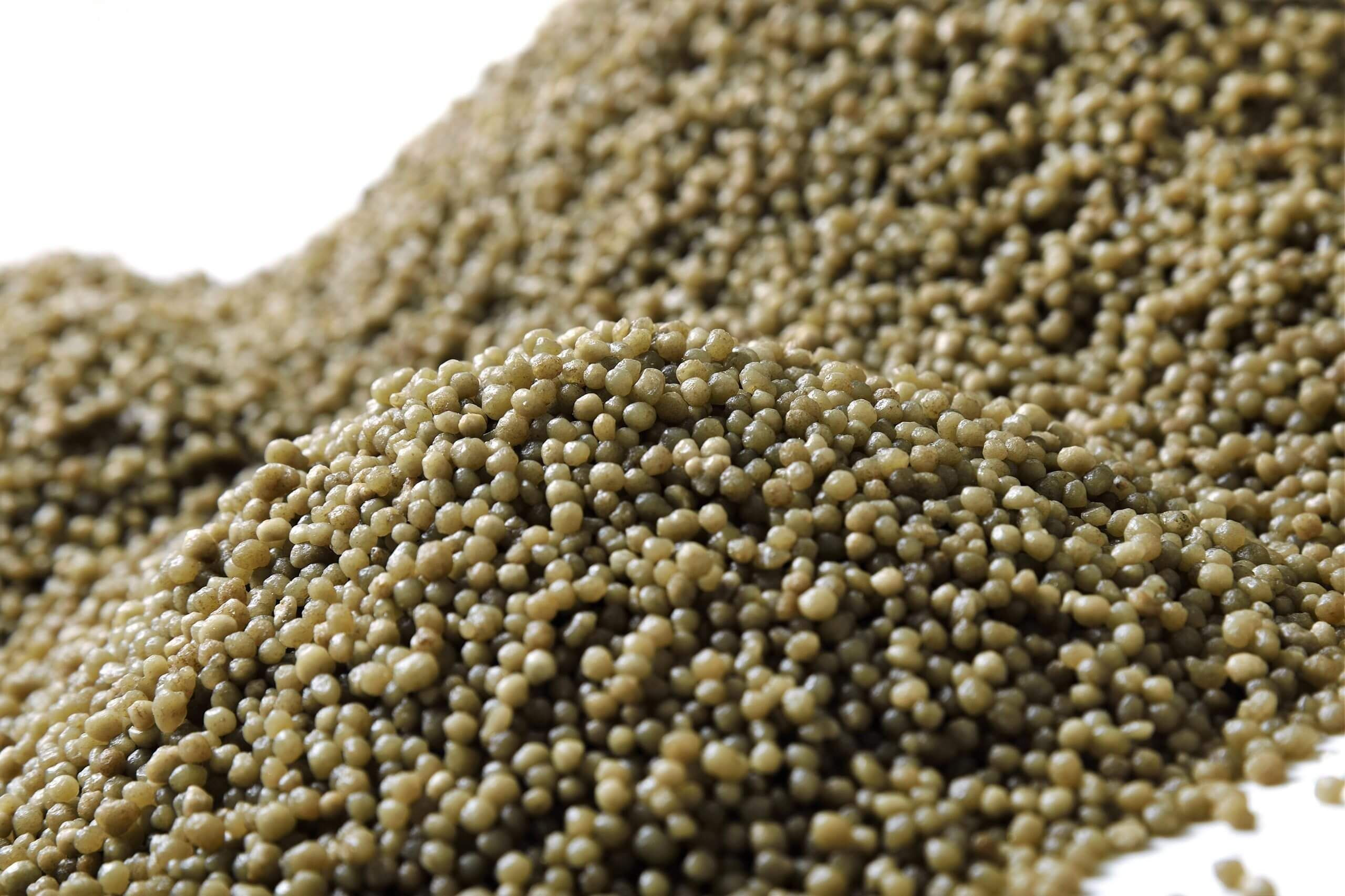 Buy Bulk Dap Fertilizer 18-46-0, Rich In Phosphorus And Nitrogen ...