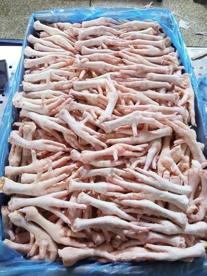 Buy Frozen Chicken Feet from ACRO IFC & Co.,, Pakistan | Tradewheel.com