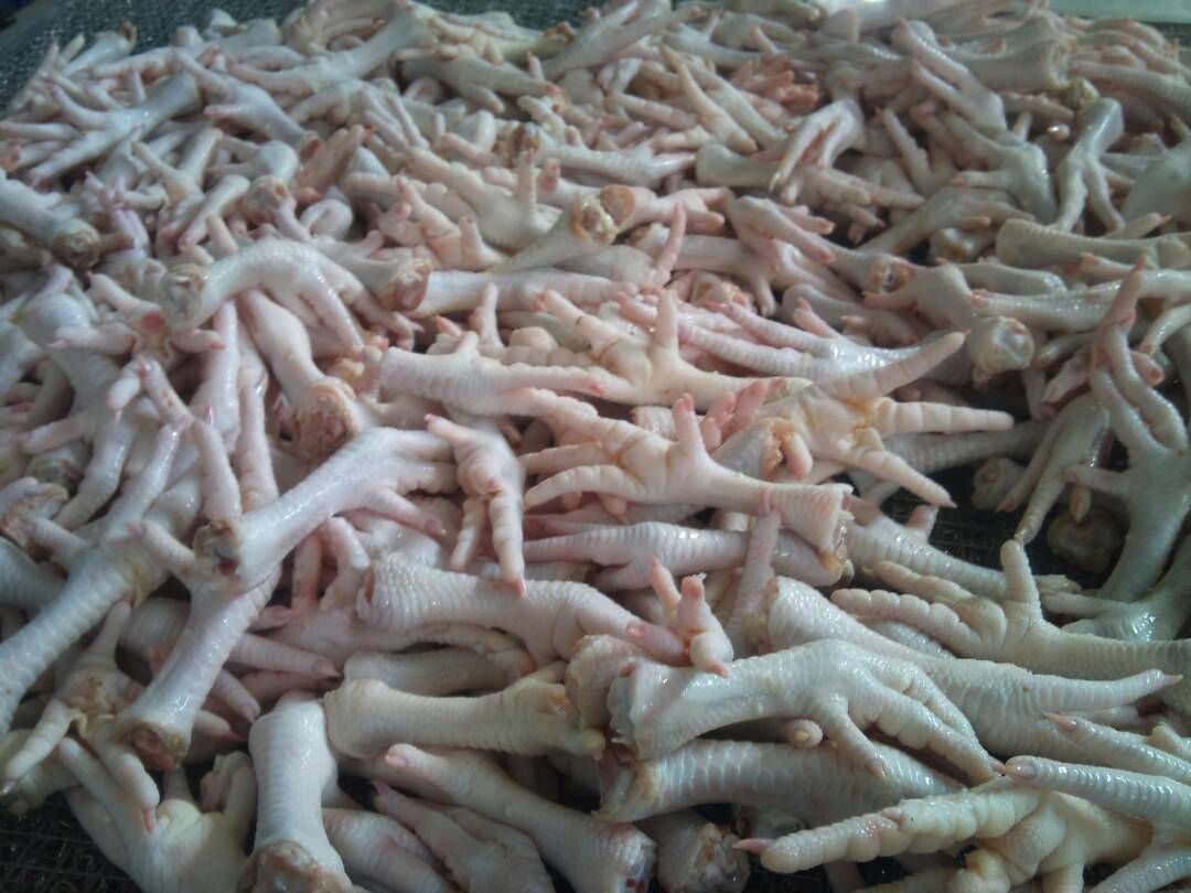 Buy Frozen Chicken Feet from ACRO IFC & Co.,, Pakistan | Tradewheel.com