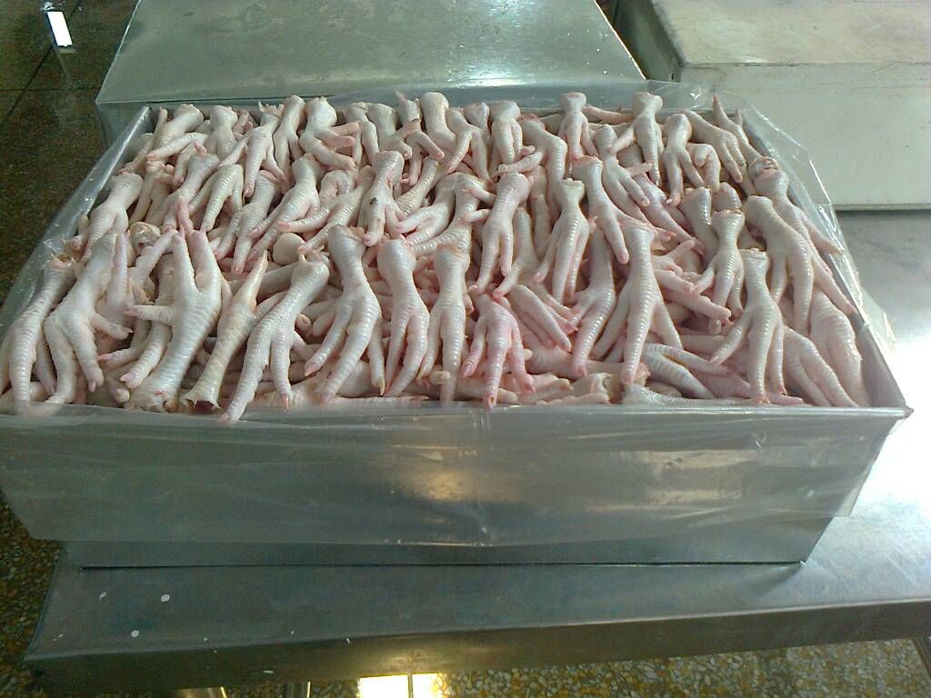 Buy Frozen Chicken Feet from ACRO IFC & Co.,, Pakistan | Tradewheel.com