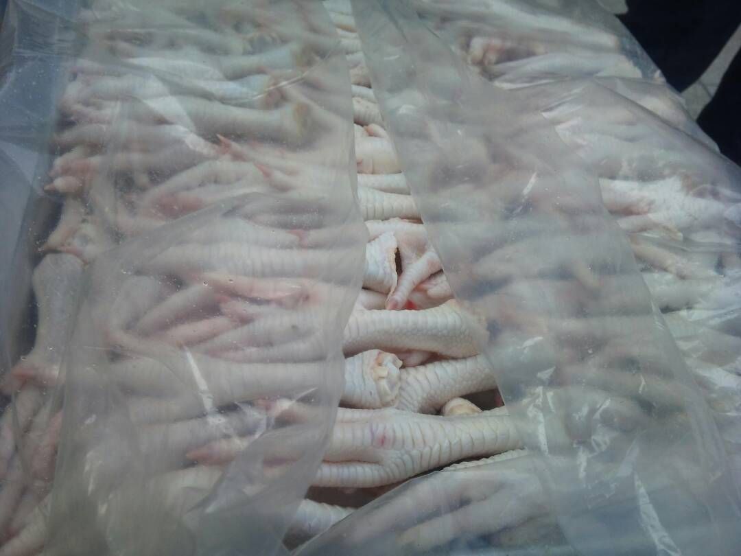 Buy Frozen Chicken Feet from ACRO IFC & Co.,, Pakistan | Tradewheel.com