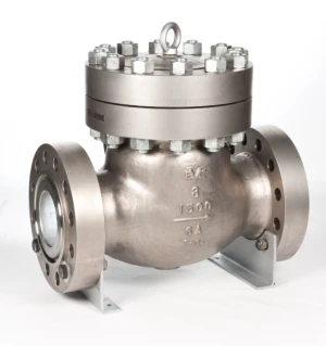 Buy Swing Check Valves from Nanjing Newmarch Machinery Technology Co ...