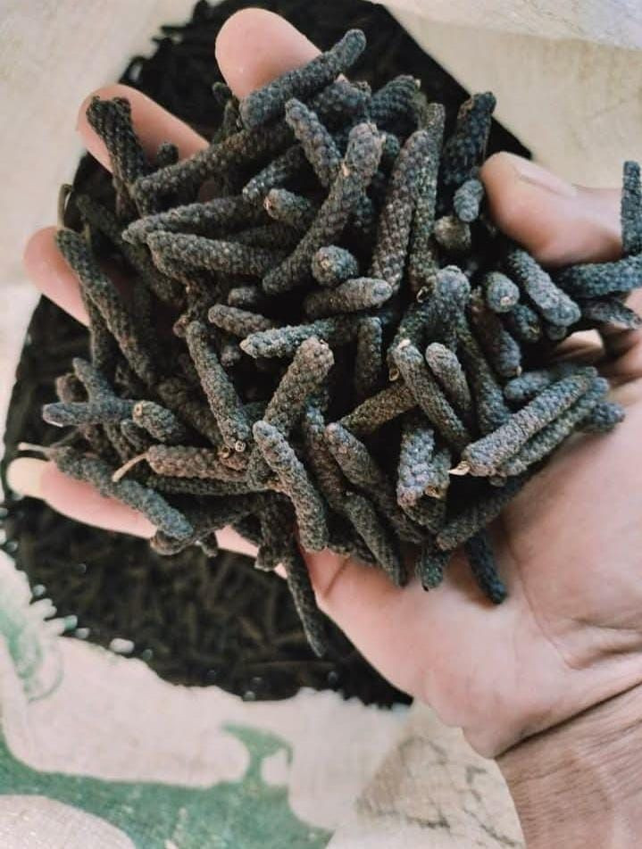 Buy Long Pepper From Indonesia from PT Bisya Natural Product, Indonesia ...