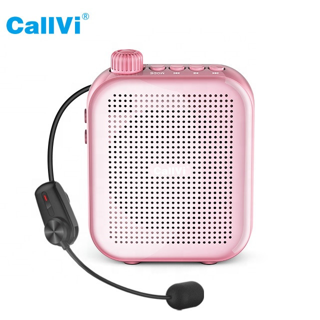 Buy Callvi Power Amplifiers 15w Wireless Microphone Bluetooth Mp3 ...