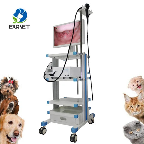 Buy Eur Vet Good Quality Flexible Gastroscope Camera System Veterinary ...