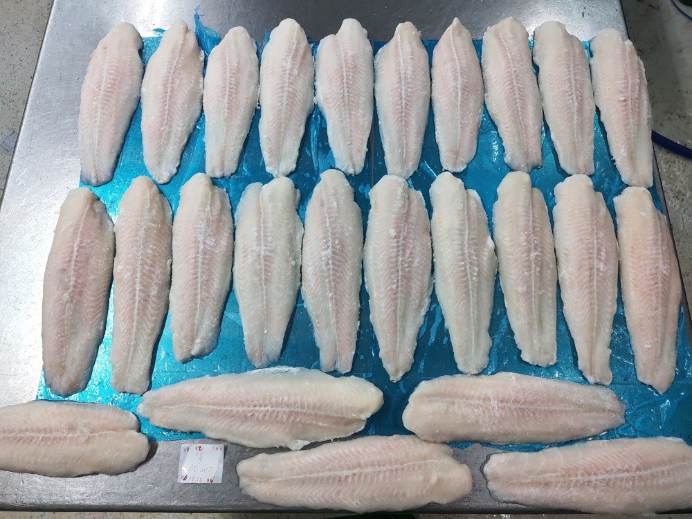 Buy Iqf Basa Fish/ Cream Dory Fish/ Pangasius Fillet from VIET HONG ...
