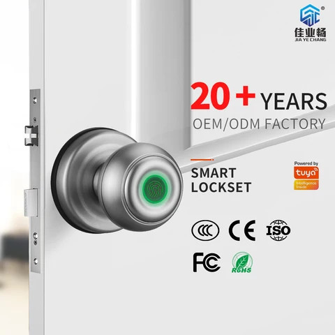 Buy Tuya Ttlock App Smart Door Knob Lock Mechanical Key Key Electric ...