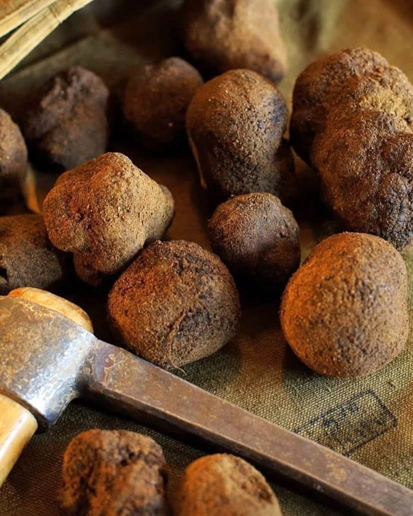 Buy Bulk Tennessee Truffles Supplier Stock from Afrivet Trading ...