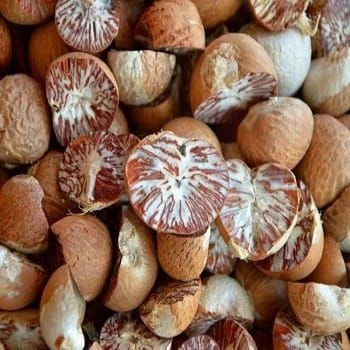 Buy Betel Nut Boiled,whole,split,lali from Ahsan Commodity Sukses ...