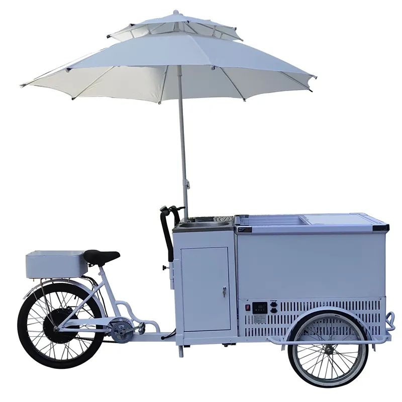 Buy Outdoor Customized Ice Cream Cart With Freezer Mobile Bicyle ...
