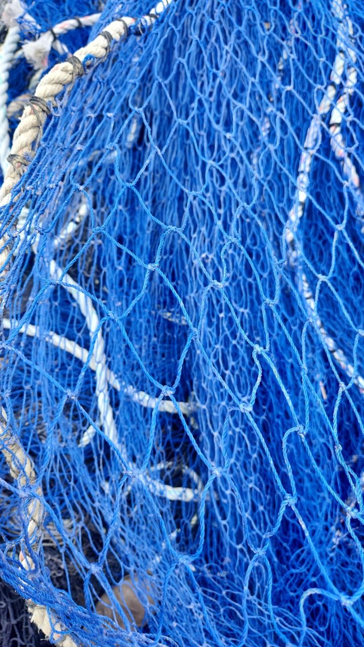 Buy Fishing Nets Nylon 6 Multifilament from Candex, Australia ...