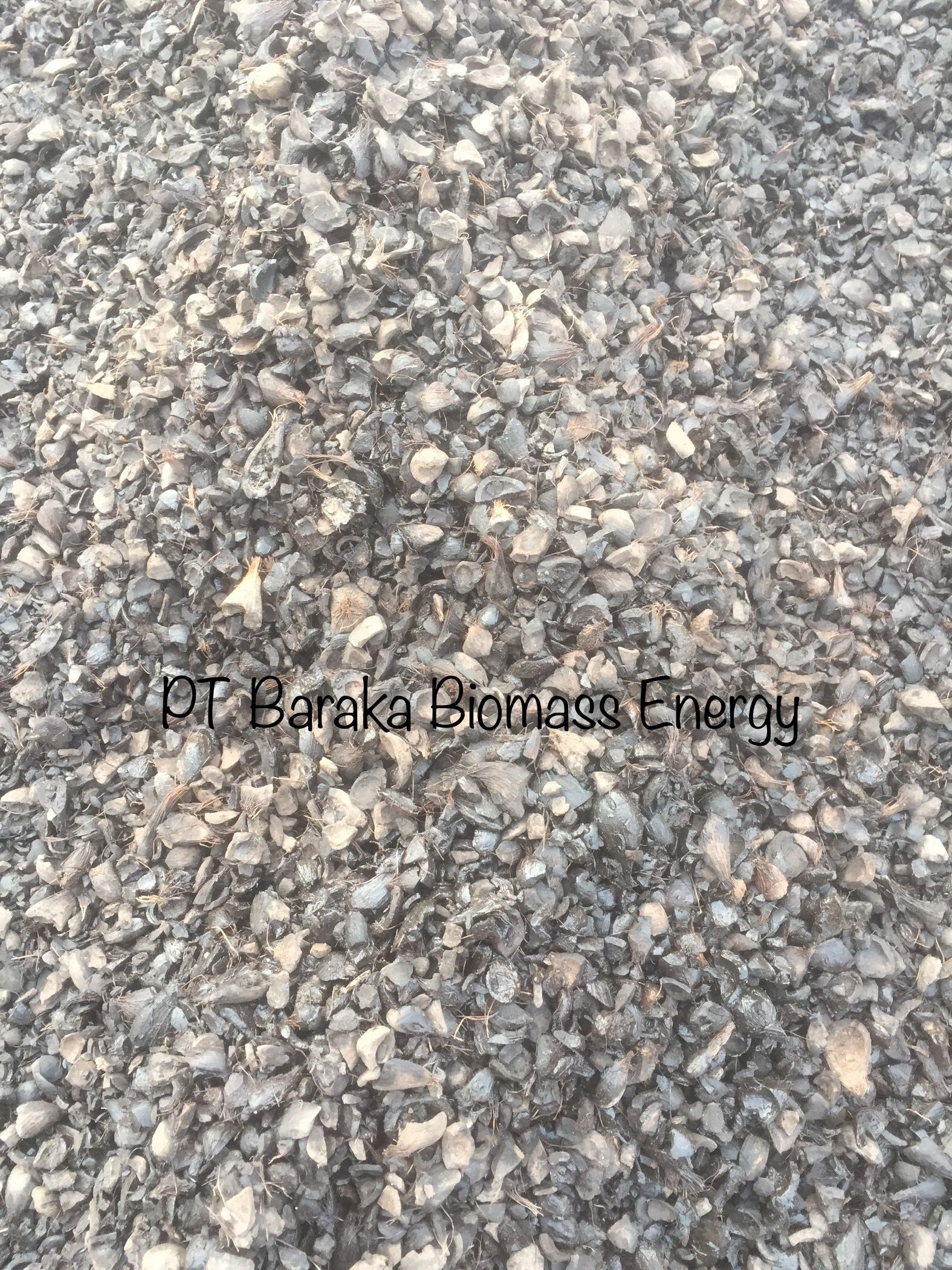 Buy Palm Kernel Shell from PT Baraka Biomass Energy, Indonesia ...