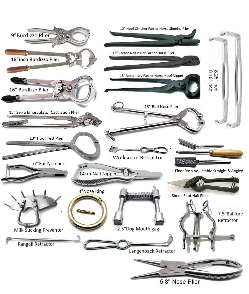 Buy Veterinary Surgical Kit Veterinary Surgical Instruments from ...