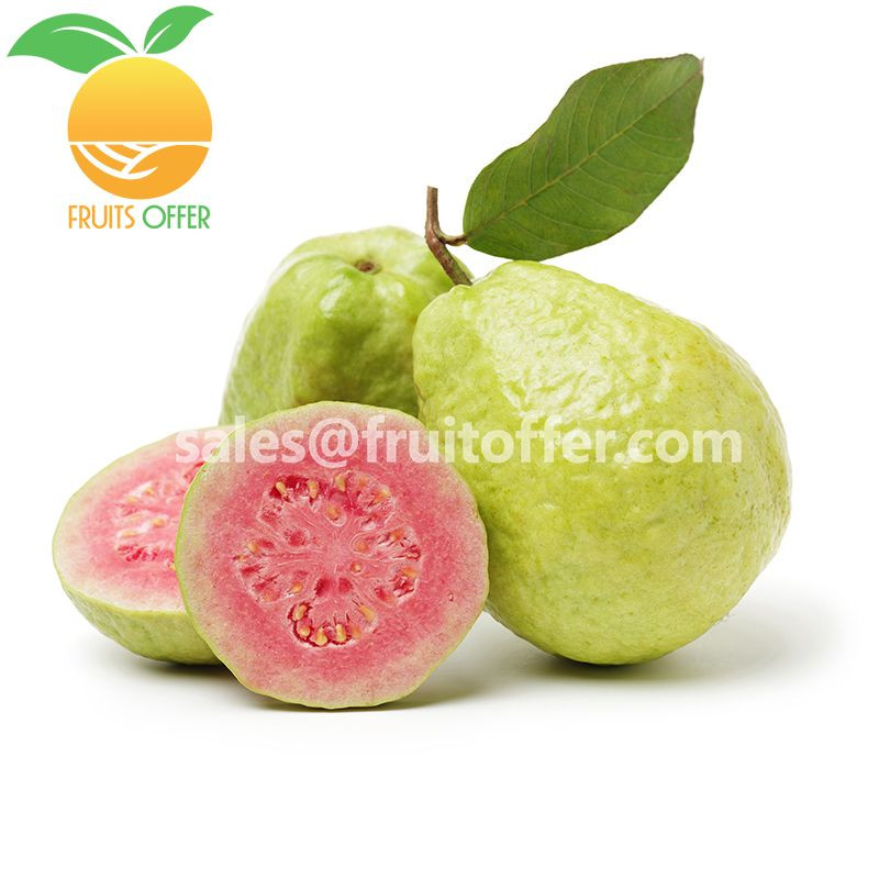 Buy Guava from Dong Phuong Viet Nam Harvest Import Export Company ...