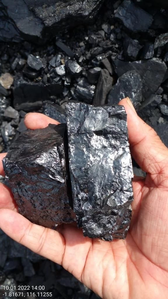 Buy Coal In Wholesale Price from PT. Rajawali Multi Artha, Indonesia ...
