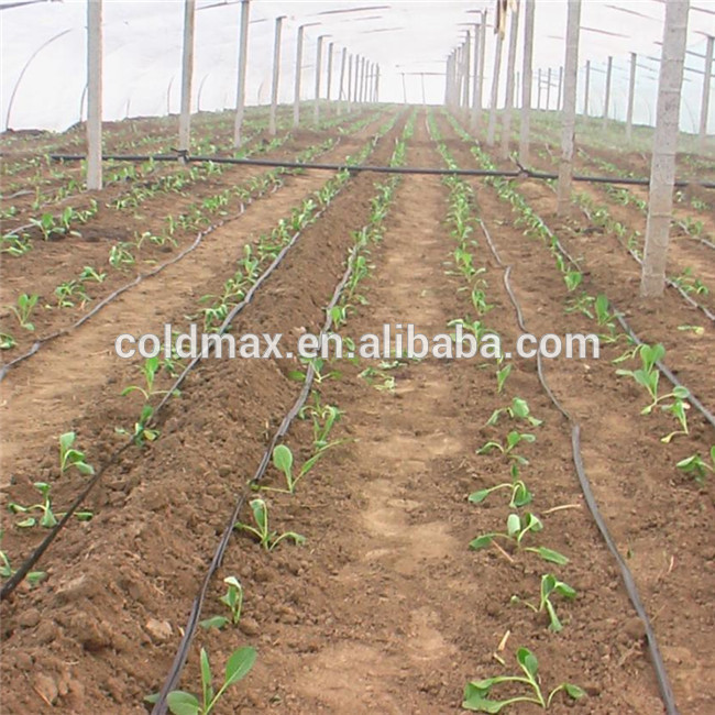 Buy Agriculture Farming Cheap Price 16mm T Tape Drip Irrigation from ...