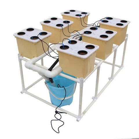 Buy Complete Hydroponics System Dutch Bucket Growing Vegetable In ...