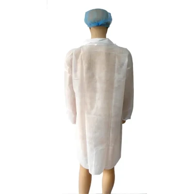 Buy Factory Disposable White Pp Clothing For Laboratory Disposable ...