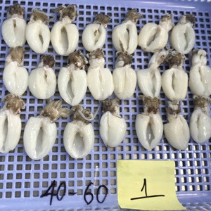 Buy Frozen Cleaned Baby Cuttlefish from Shandong Kingsun Foods Co., Ltd ...