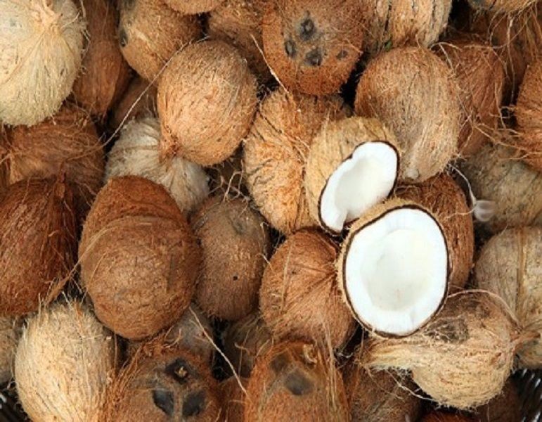 Buy Fresh Succulent Sweet And Big Organic Coconut from ECSTASY ...