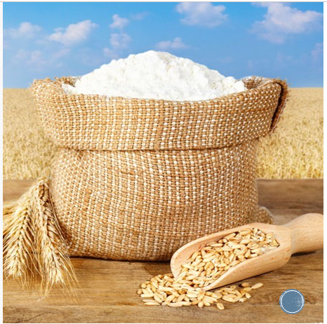 Buy Wheat Flour from Arcurius International Trade, France | Tradewheel.com