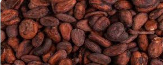 Buy Coco Bean from Company - IDEMUDIA JOHN EGHOSA, Nigeria | Tradewheel.com