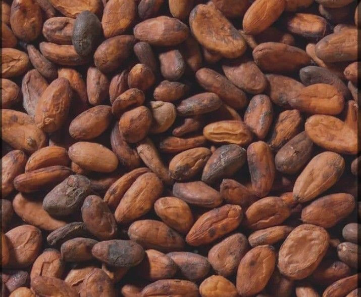 Buy Coco Bean from Company - IDEMUDIA JOHN EGHOSA, Nigeria | Tradewheel.com