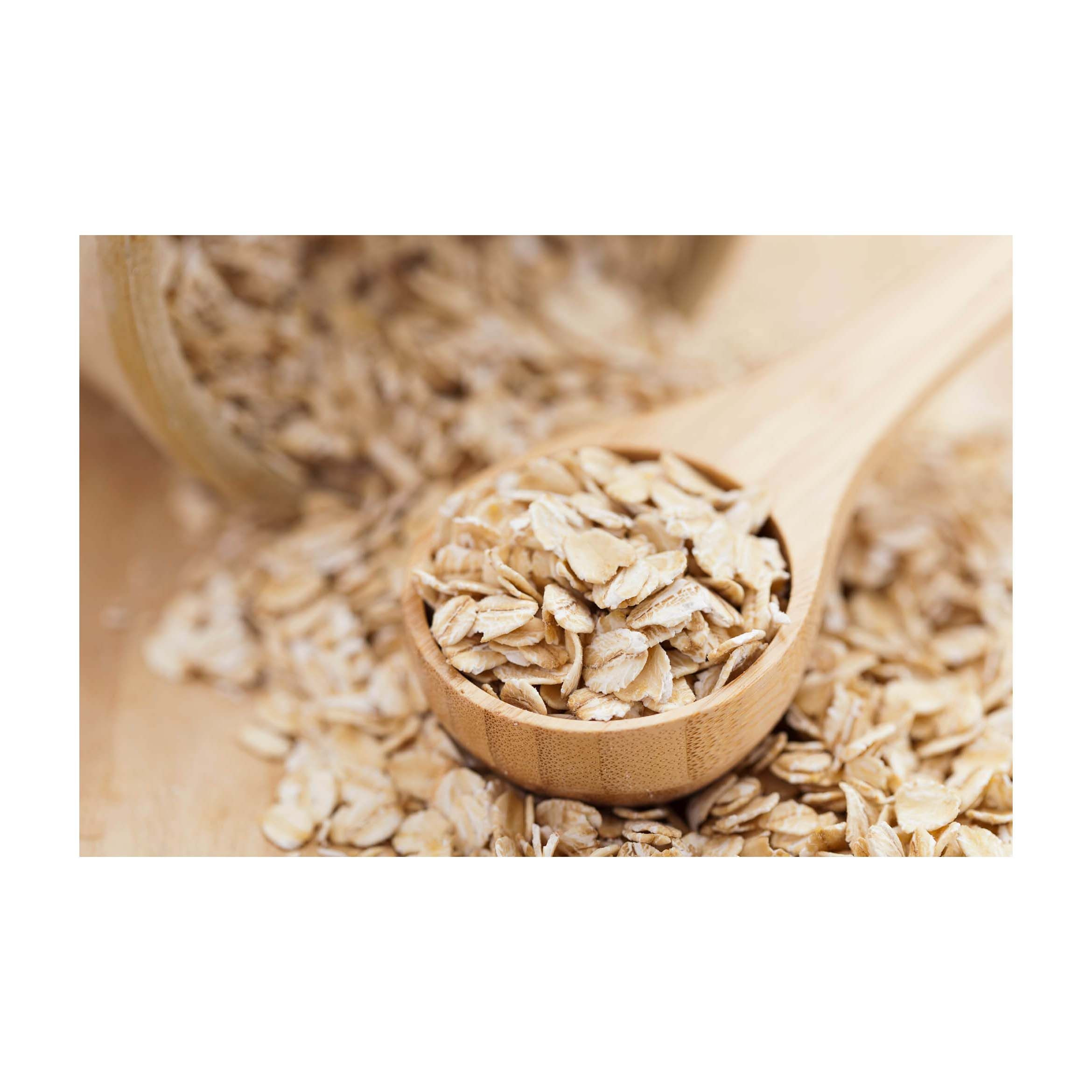 Buy High Yield Oat Grains For Bulk Orders from Afrivet Trading Services ...