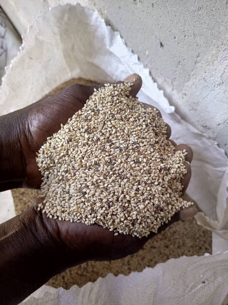 Buy Sesame from Mzahalina Company Limited, Tanzania | Tradewheel.com