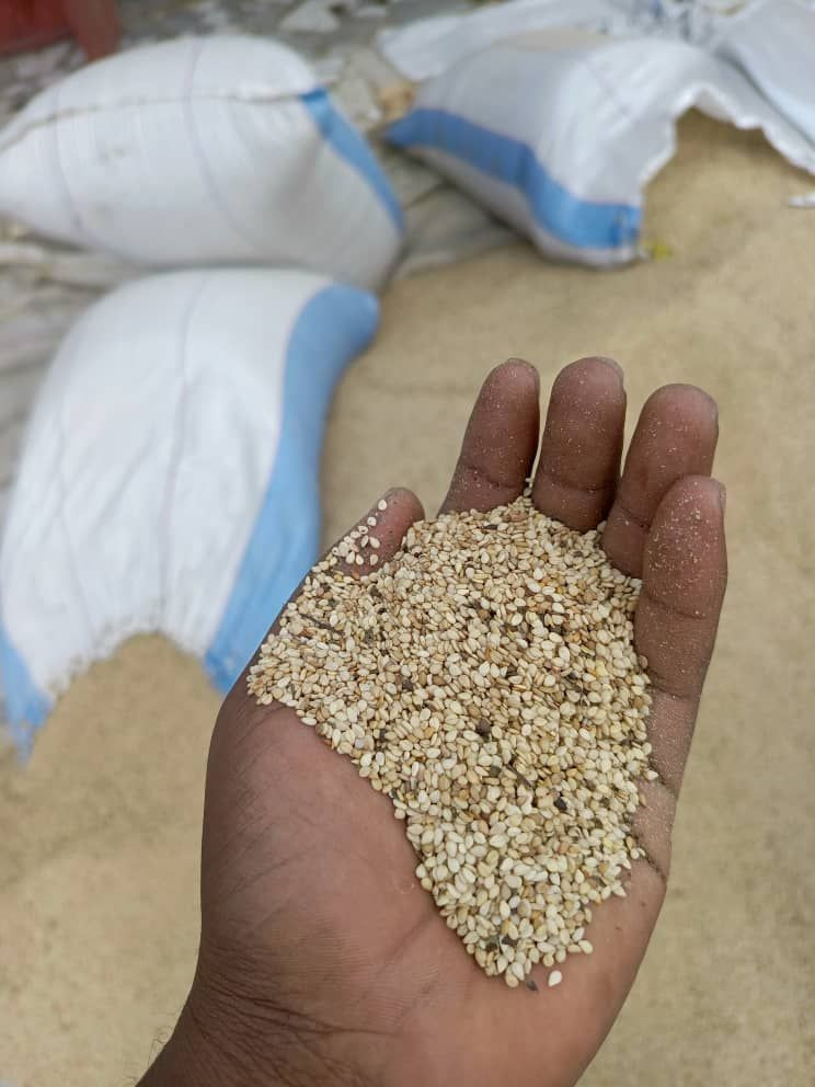 Buy Sesame from Mzahalina Company Limited, Tanzania | Tradewheel.com