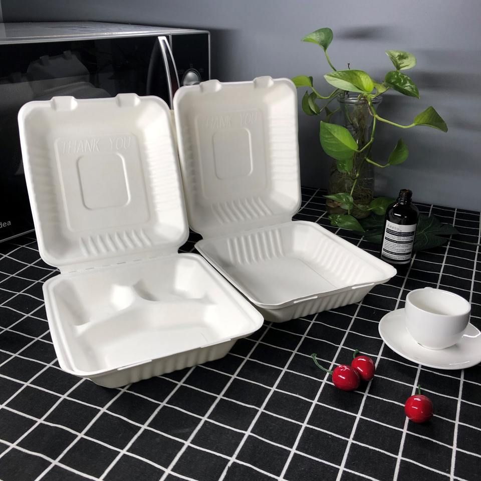 Buy Sugar Cane Bagasse Deep 8/9 Inch Clamshell from Farokitchenware ...