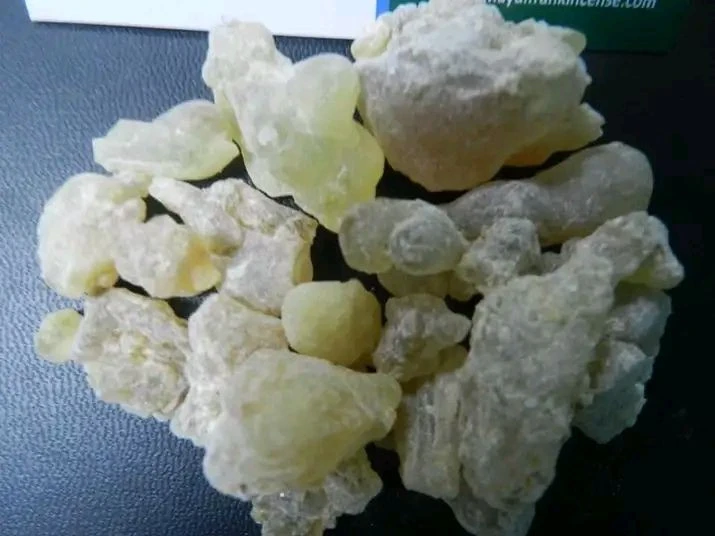 Buy Gum Moxor from Alhayaat, Germany | Tradewheel.com