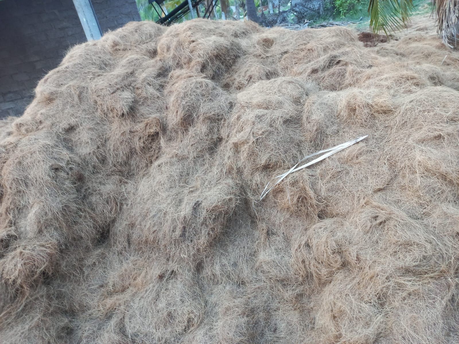 Buy Coconut Fiber from CFP PRODUCTS, Sri Lanka | Tradewheel.com