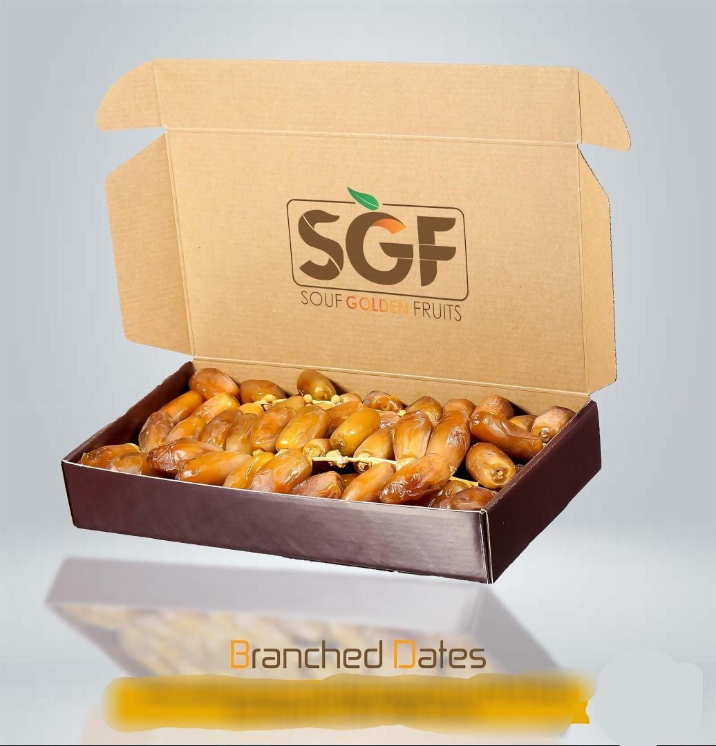 Buy Dates from SARL SOUF GOLDEN FRUITS, Algeria | Tradewheel.com