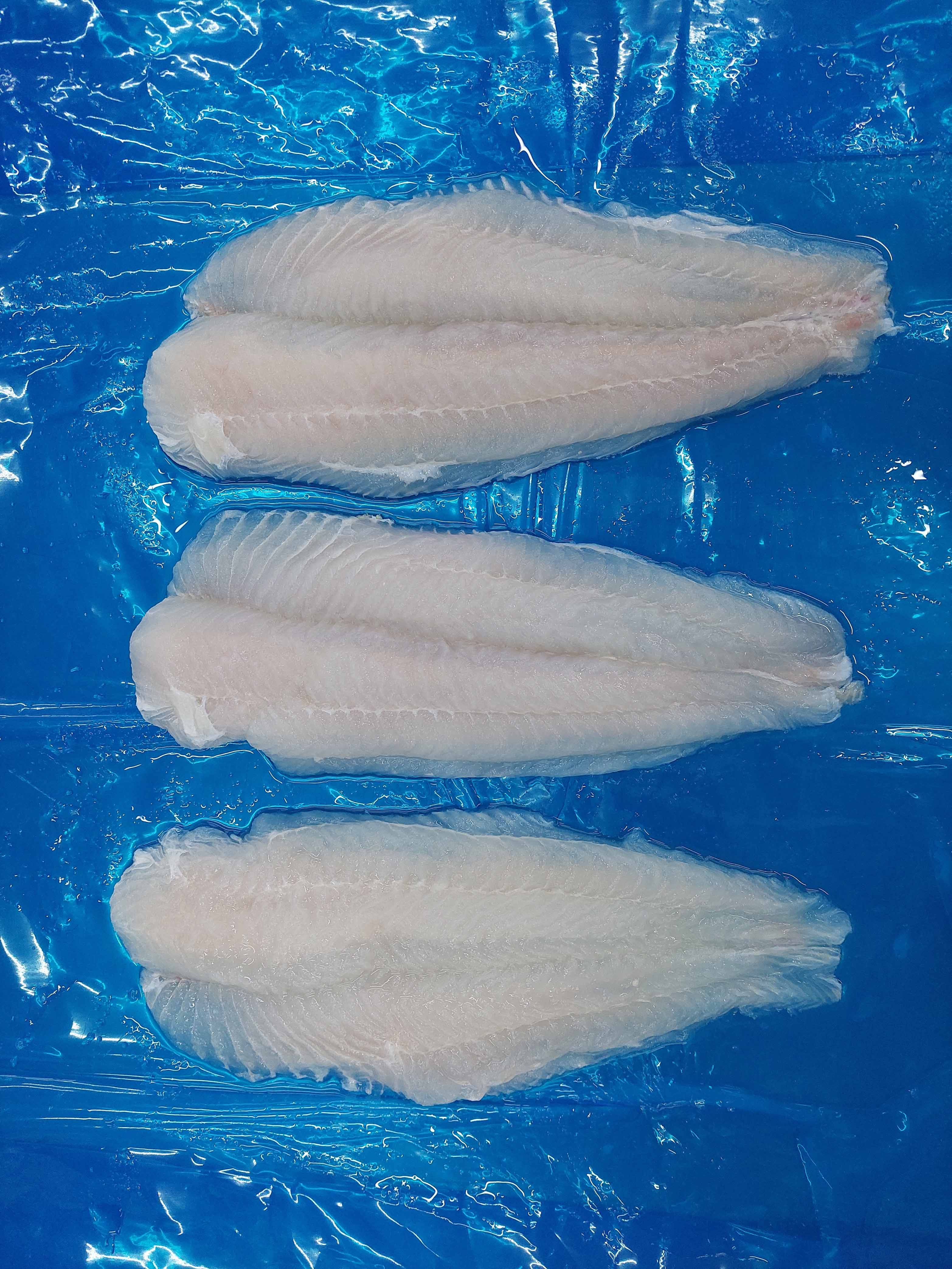 Buy Well-trimmed Pangasius Fillet from PHUONG DONG FOOD PROCESSING ...