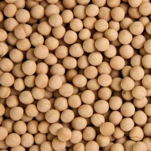Buy Yellow Peas from Agri SK LLC, Russia | Tradewheel.com