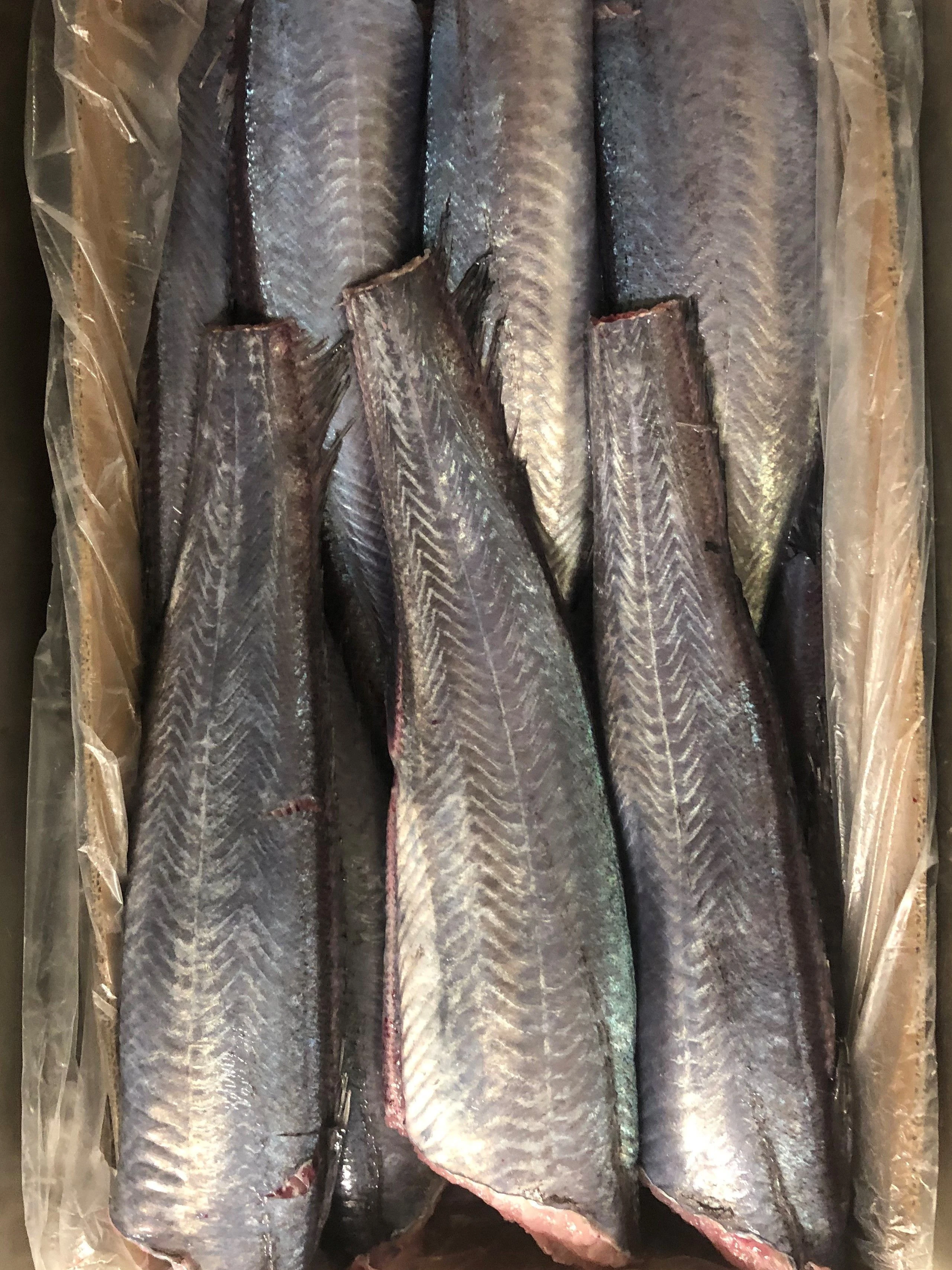 Buy Hoki/ Blue Grenadier Frozen Dressed 15 Kg Boxes from A Feast of ...