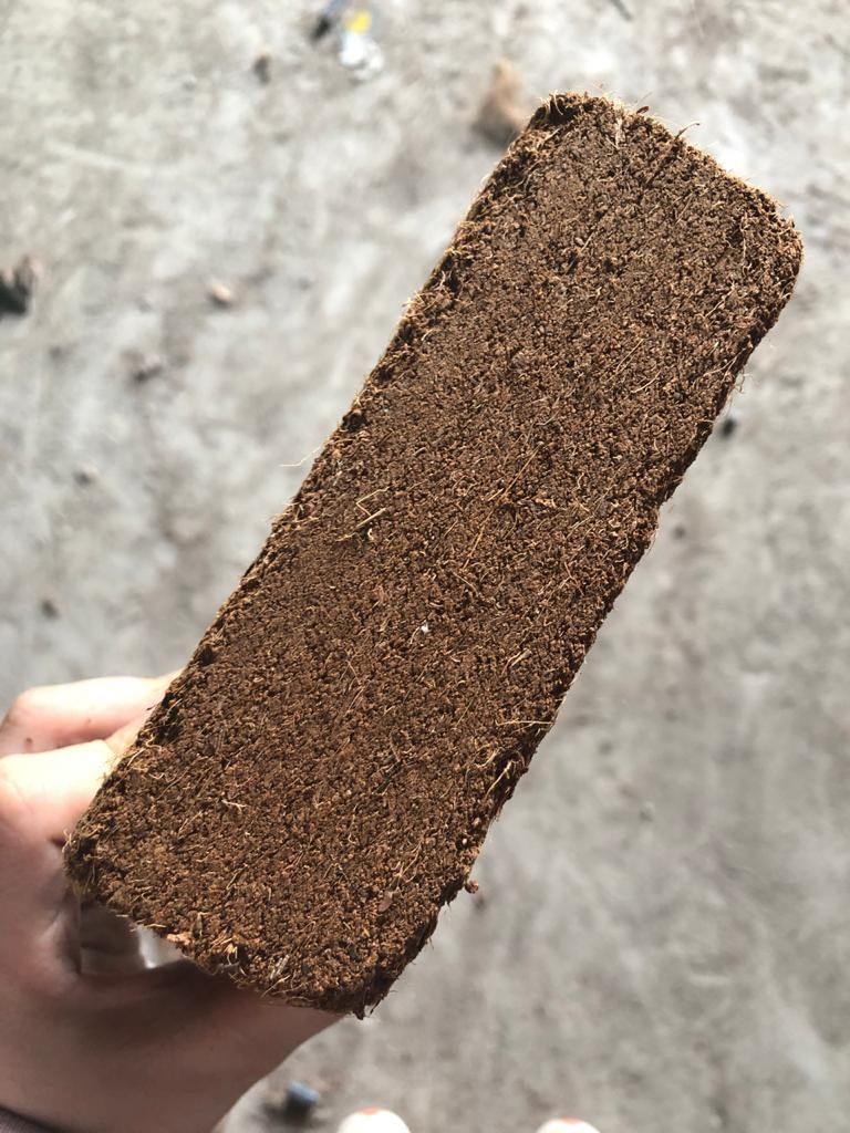 Buy High-quality Coconut Coir Peat Block from VIGI FARM, Vietnam ...
