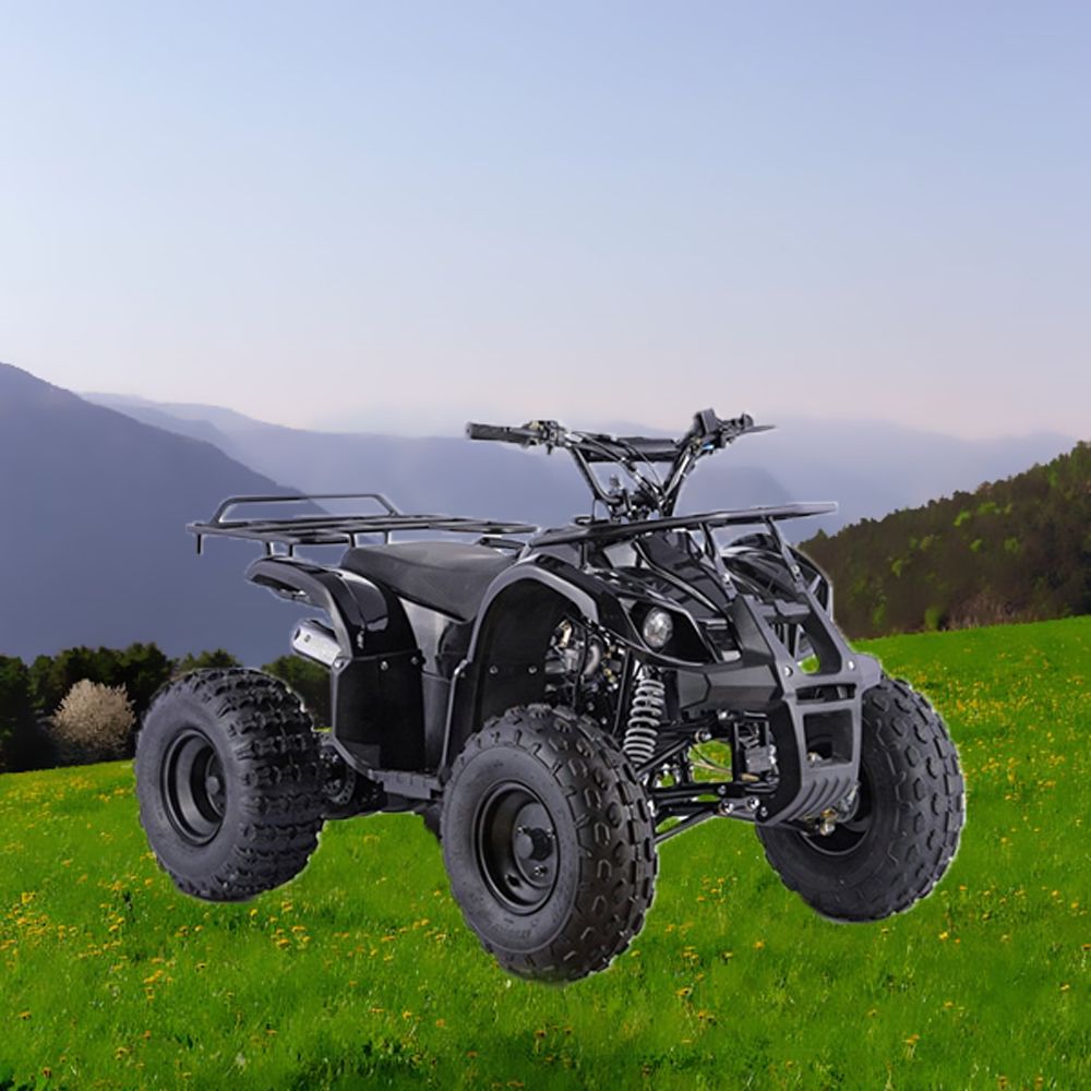 Buy What Is 50cc Atv Four Wheelers Mini Quad Bike Mini Kids Atv 4 ...