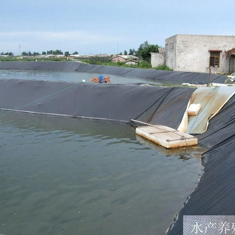 Buy 2mm Fish Farm Pond Liner Hdpe Geomembrane from Taian Lin Yuan ...