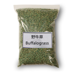Buy Buffalograss Seeds Bison Grass Seeds /buffalo Grass Seeds For ...