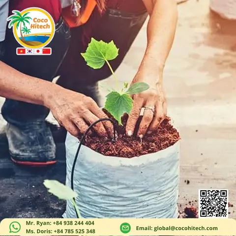 Buy Coco Peat Low Ec And Washed Popular Choice Growing In Hydroponics ...