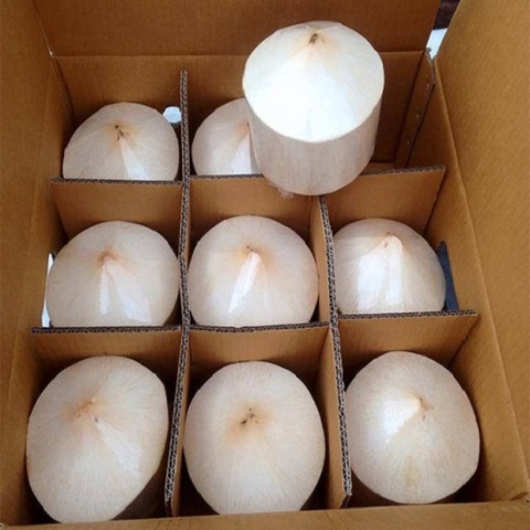 Buy Fresh Young Coconut, Nam Hom Coconut , Premium Grade Organic And ...